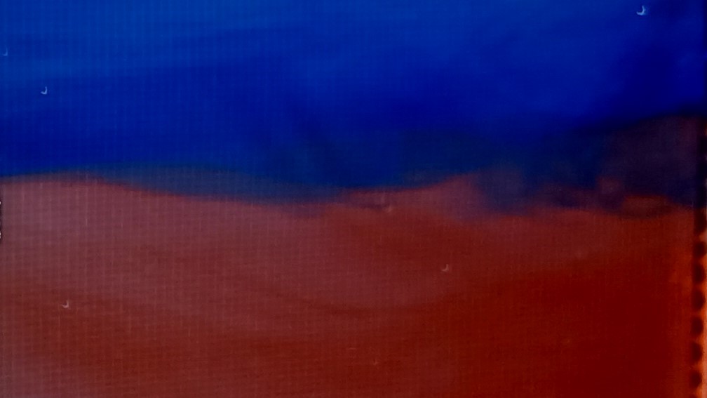 Development of a two‑current choice flume behavioural bioassay for ...